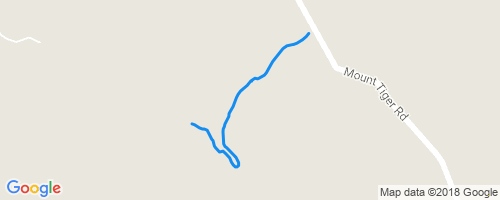 Serpents return to Mt Tiger Mountain Biking Trail - Whangarei