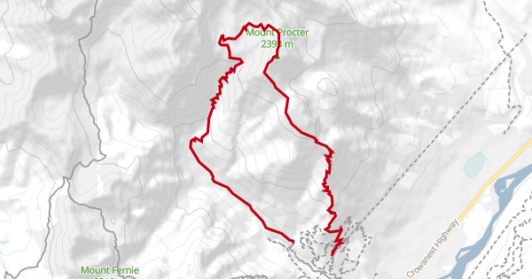 Mount Proctor (HIKING ONLY) Hiking Trail - Fernie, BC