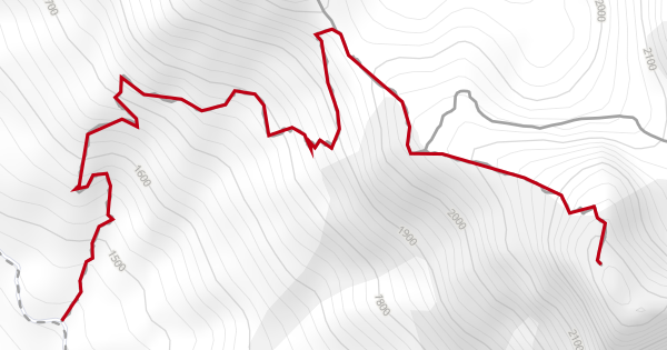 Mount Hosmer aka Ghostrider Mountain Hiking Trail - Fernie, BC