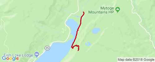 Fish Lake Perimeter Mountain Biking Trail - Beaver, Utah