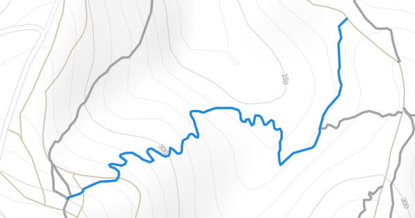 True Grit Mountain Biking Trail - Mount Dandenong