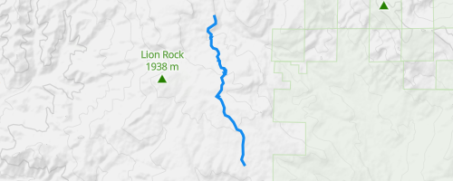 Naneum Wilson Trail 1371 Multi Trail - Ellensburg, WA
