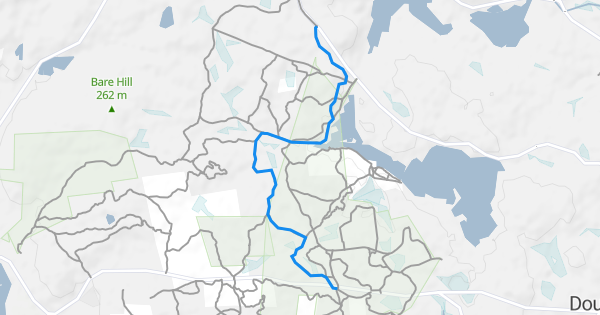 Midstate North - Douglas State Forest Multi Trail - Douglas