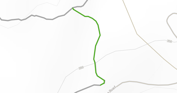 Mongoose/Superhighway Link Trail Mountain Biking Trail - Wondai