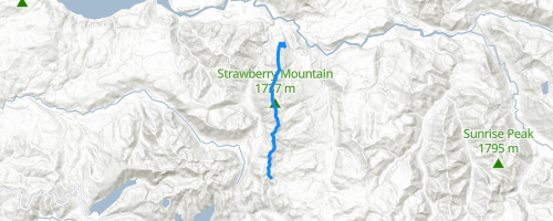 Strawberry Ridge Mountain Biking Trail - Randle, WA
