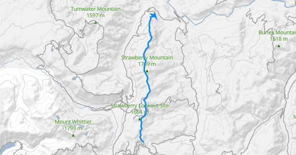 Strawberry Ridge Mountain Biking Trail - Randle, WA