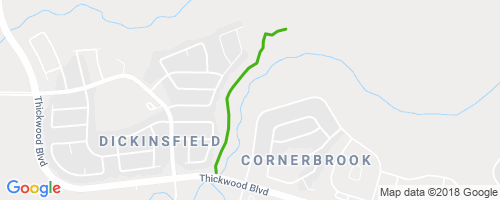 Beaver Trail Mountain Biking Trail - Fort McMurray