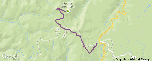 Saddle Mtn Road Mountain Biking Trail - Sula, Montana