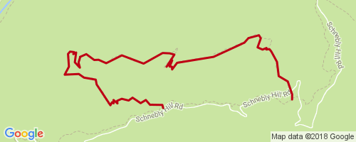Hangover Multi Trail - Schnebly Hill, Sedona, Arizona
