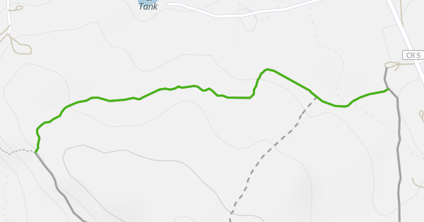 Tin Trough Springs Multi Trail - Prescott, Arizona