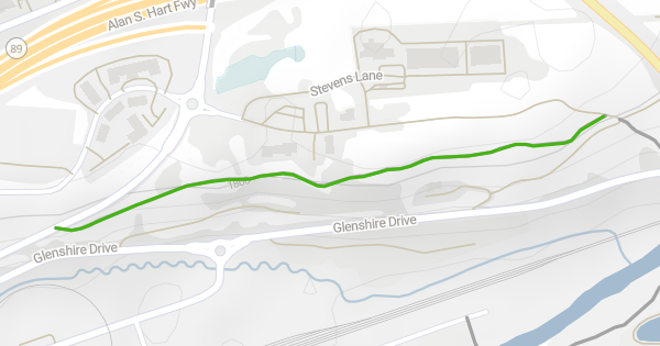 Forest Service Trail Mountain Biking Trail - Truckee, CA