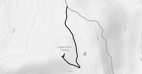 Cispus Lookout Trail Mountain Biking Trail - Randle