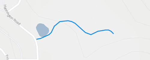 Blue Buck Extension Mountain Biking Trail - Victoria