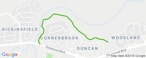 Beaver Trail Mountain Biking Trail - Fort McMurray