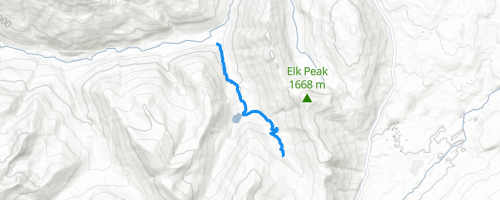 Wobbly Creek Trail Mountain Biking Trail - Randle, WA