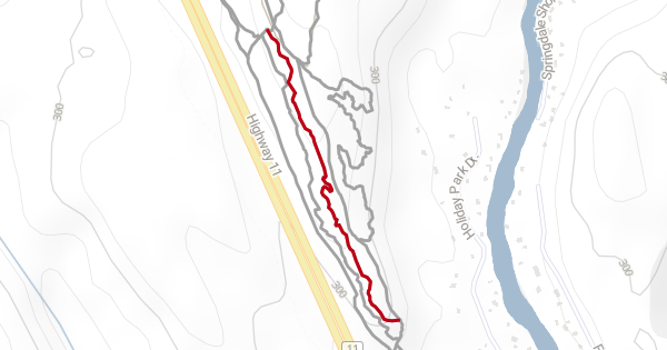 Gnarnia Mountain Biking Trail - Bracebridge, Ontario