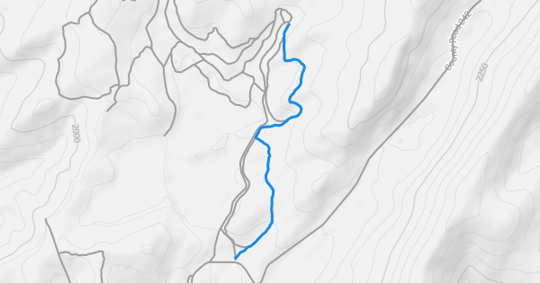 Cable Run Multi Trail - Phillipsburg, Montana