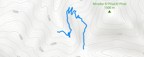 Coati 3 Mountain Biking Trail - Chipinque, Monterrey
