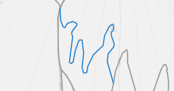 Upper Rodeo Mountain Biking Trail - Oakley, Utah