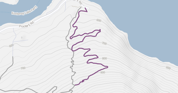 Proctor Climb Mountain Biking Trail - Procter, BC