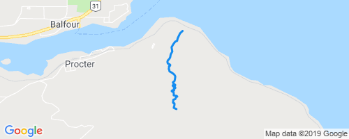 Proctologist Mountain Biking Trail - Procter, BC