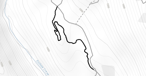 Wonder Ridge (of Prospector) Mountain Biking Trail - Exshaw