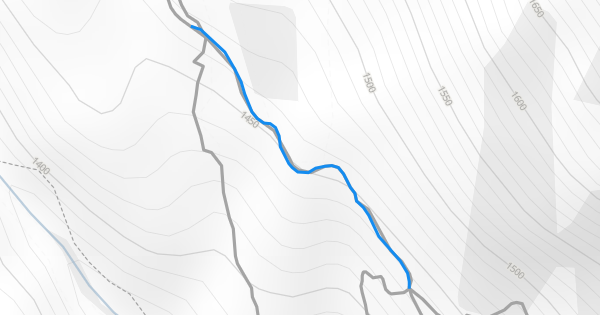 Lower Prospector Mountain Biking Trail - Exshaw, Alberta