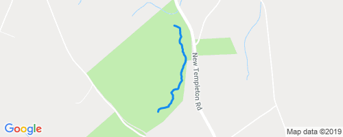 Laurel (West) Multi Trail - Hubbardston, Massachusetts