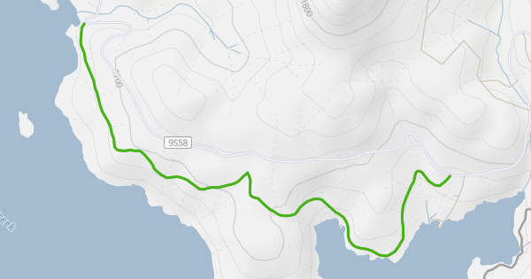 Lakeview (Shaver Perimeter) Multi Trail - shaver lake