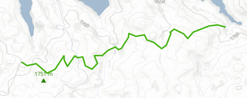 Shaver Perimeter (Swanson Meadow) Multi Trail - shaver lake