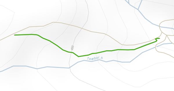 Tannbach Trail Mountain Biking Trail - | Trailforks