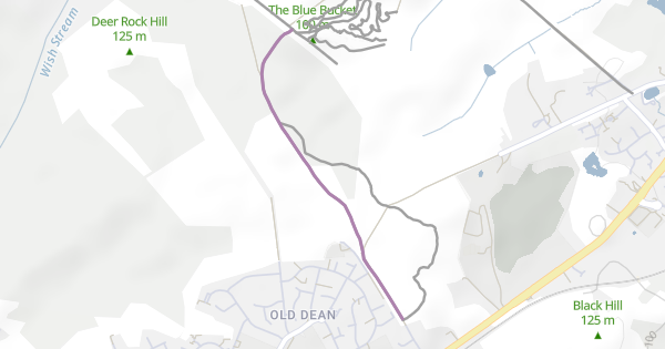 Maultway into Swinley Forest Mountain Biking Trail