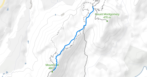Mt Dial walking track (Penguin/Cradle Trail) Hiking Trail - Penguin