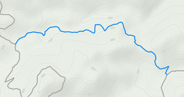 Willow Canyon Multi Trail - Waddell, Arizona