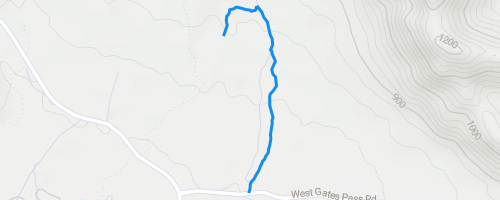 Ringtail Multi Trail - Tucson Mountain Park - Arizona