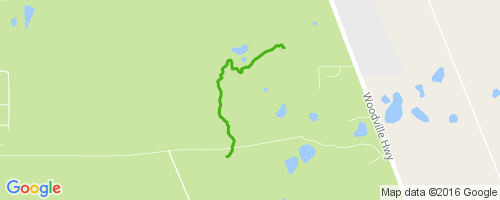 Tall Pine Mountain Biking Trail - Tallahassee, Florida