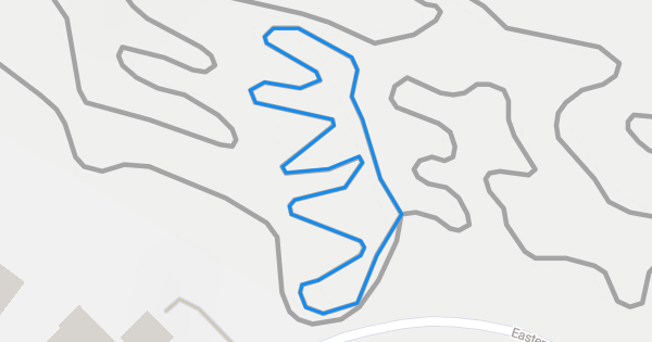 Kudzilla Mountain Biking Trail - Tallahassee, Florida