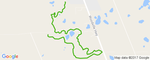 Munson East Mountain Biking Trail - Tallahassee, Florida