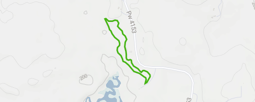 DORBA Blue Loop Mountain Biking Trail - Pilot Point