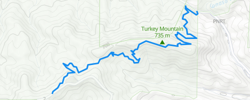 Pinhoti 3 - Turkey Mountain Multi Trail - Ellijay, GA
