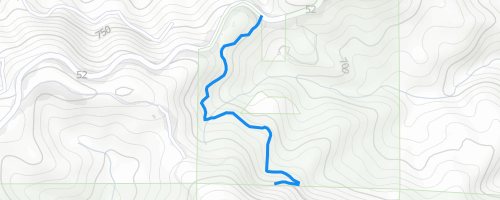 Pinhoti Trail Multi Trail - Ellijay, Georgia
