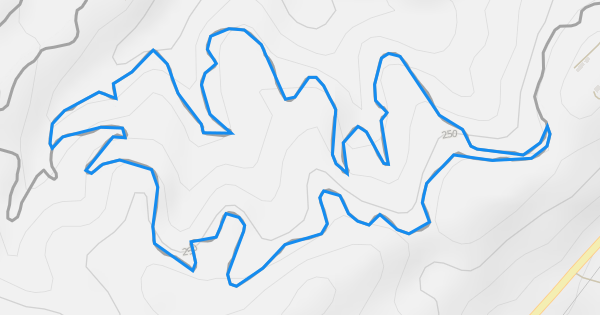 Bear Bottom Loop Mountain Biking Trail - Front Royal