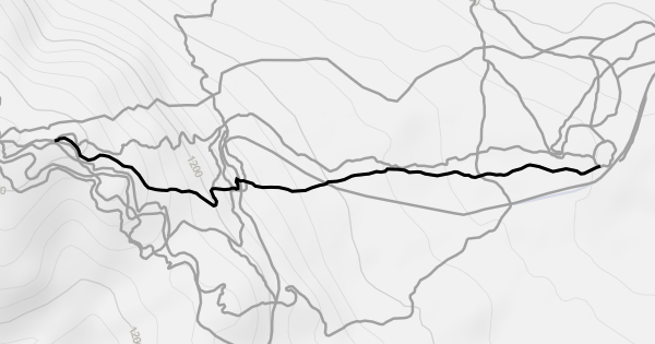Red Gate Mountain Biking Trail - Williams Lake, BC