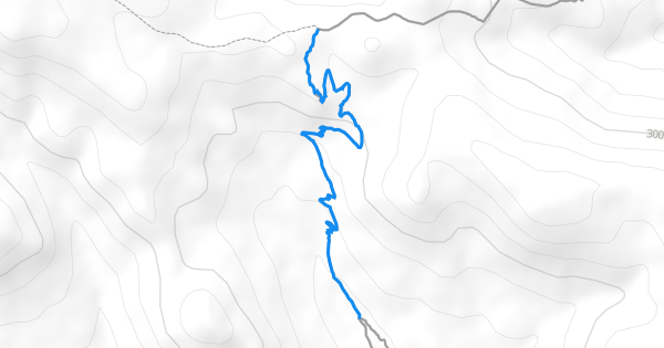 North Elk Creek Trail Mountain Biking Trail - Conifer