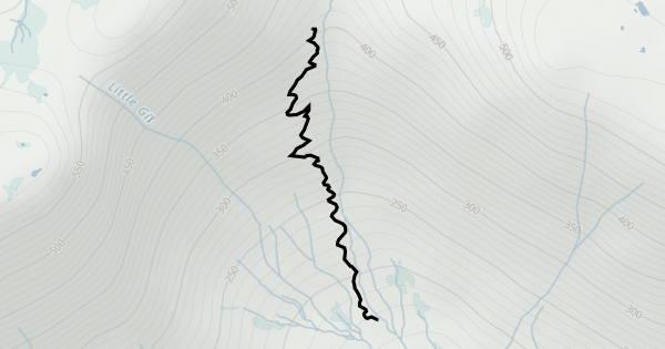 Stake Pass Mountain Biking Trail - | Trailforks
