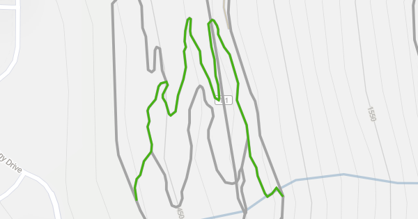 Fruit Loops Up Mountain Biking Trail - Fruit Heights