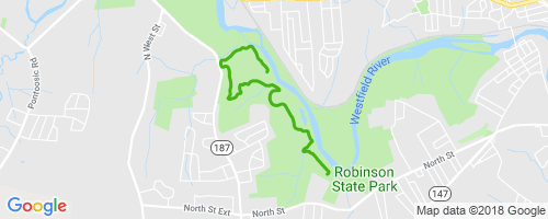 Yellow Trail (West) Mountain Biking Trail - Agawam