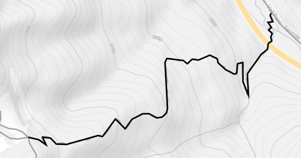 Two Elk East Mountain Biking Trail - Vail, Colorado