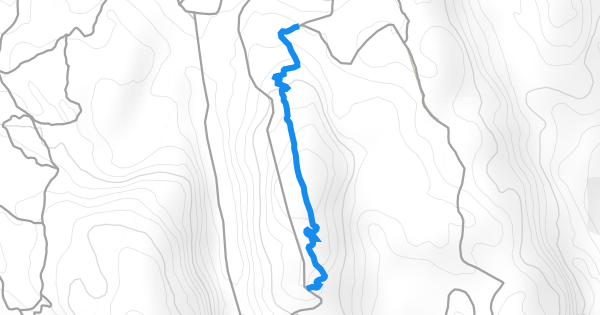 Upper Strawberry Ridge Mountain Biking Trail - Kaslo