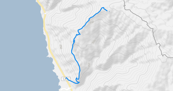 Prewitt Ridge Trail (DH section) Mountain Biking Trail - Plaskett